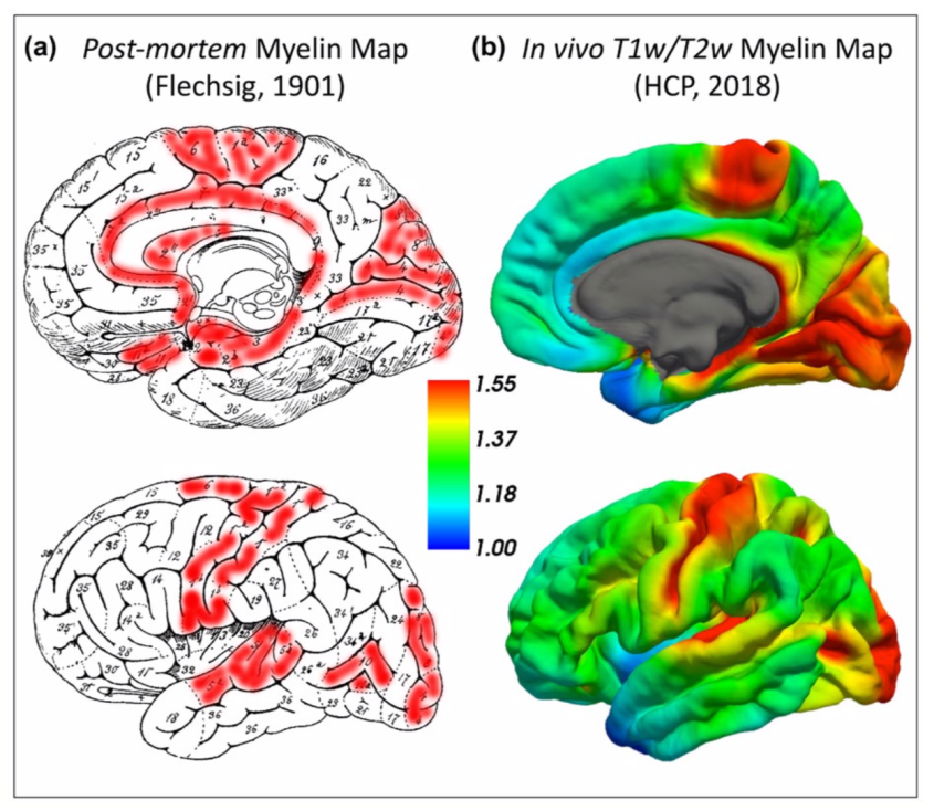 ADR Toolbox - News & Resources for ADR Professionals
